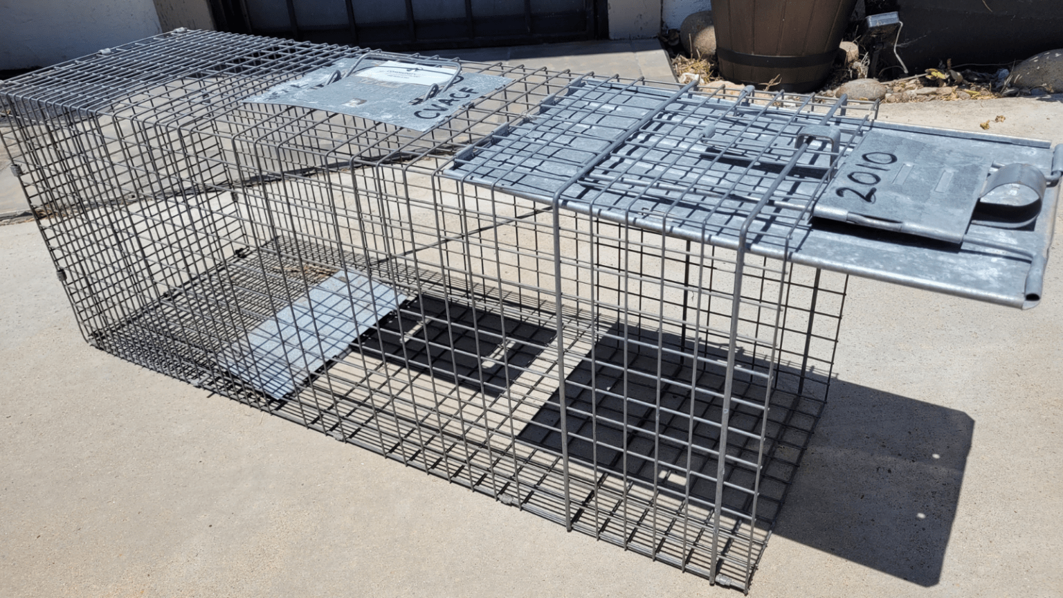 Spring-Loaded Traps - Best Cat Traps